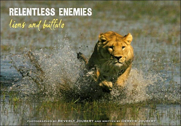 Relentless Enemies - by Brett Thomson | Sun Safaris Travel Blog
