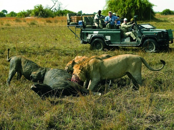 Relentless Enemies - by Brett Thomson | Sun Safaris Travel Blog