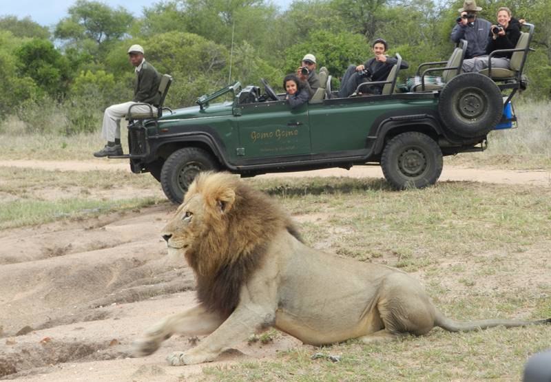 African Safari - Client Feedback | Sun Safaris Travel Blog