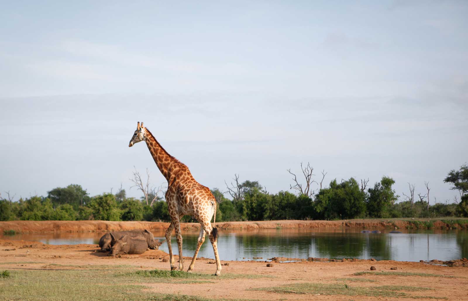 Swazi Gold: 5 Best Things to do in the Kingdom of Swaziland | Sun ...