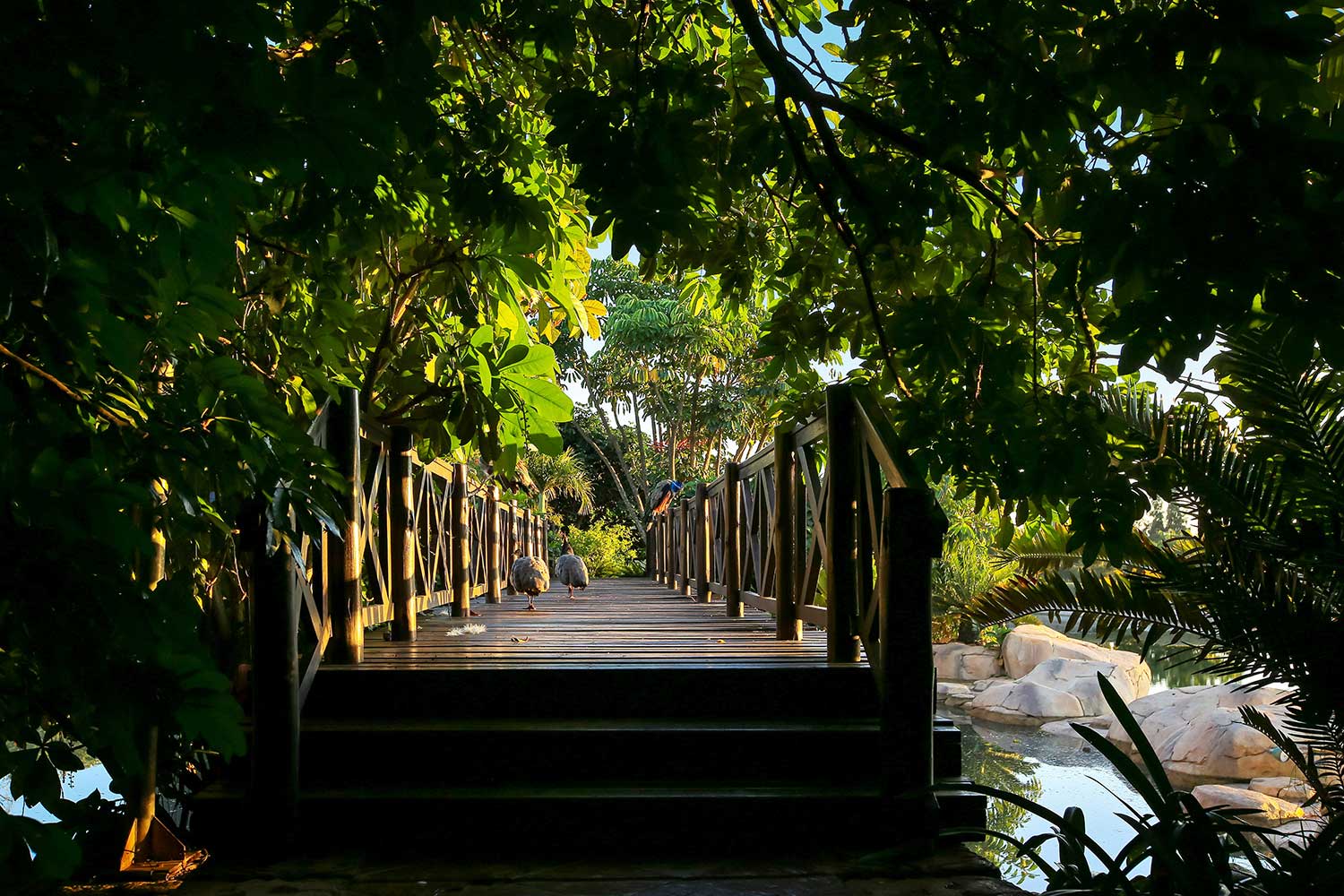 Swazi Gold: 5 Best Things to do in the Kingdom of Swaziland | Sun ...
