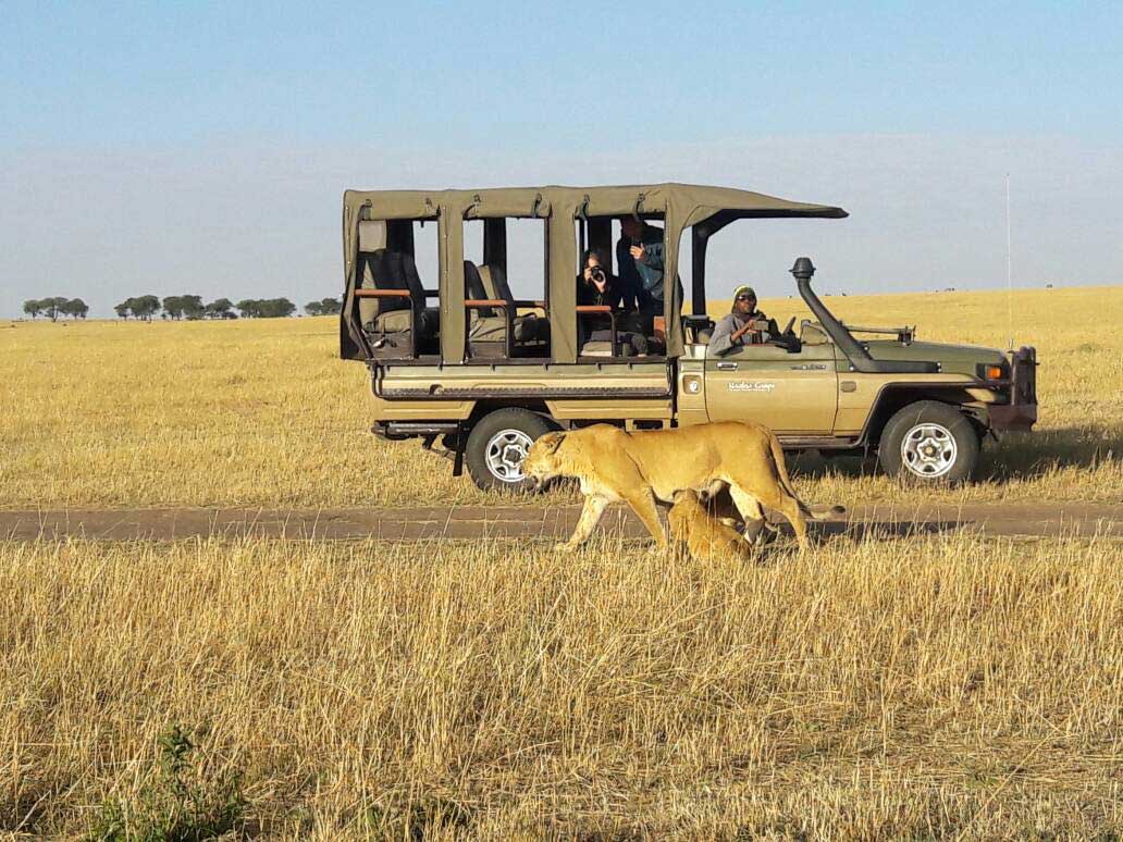 9 Different Safari Spots in 8 Different Countries