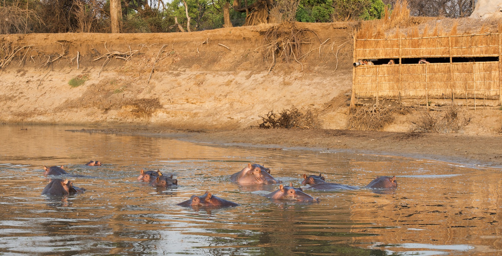 Photographic hides you have to discover | Sun Safaris Travel Blog