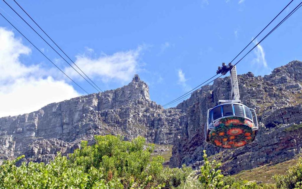 4-family-activities-in-cape-town-sun-safaris