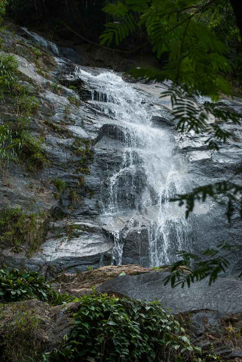 Rio’s Tijuca National Park: Explore the World’s Largest Urban Forest