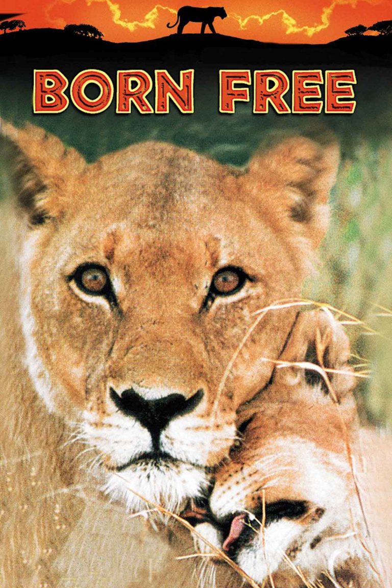 8 Safari Themed Books to Read Before Going to Africa | Sun Safaris