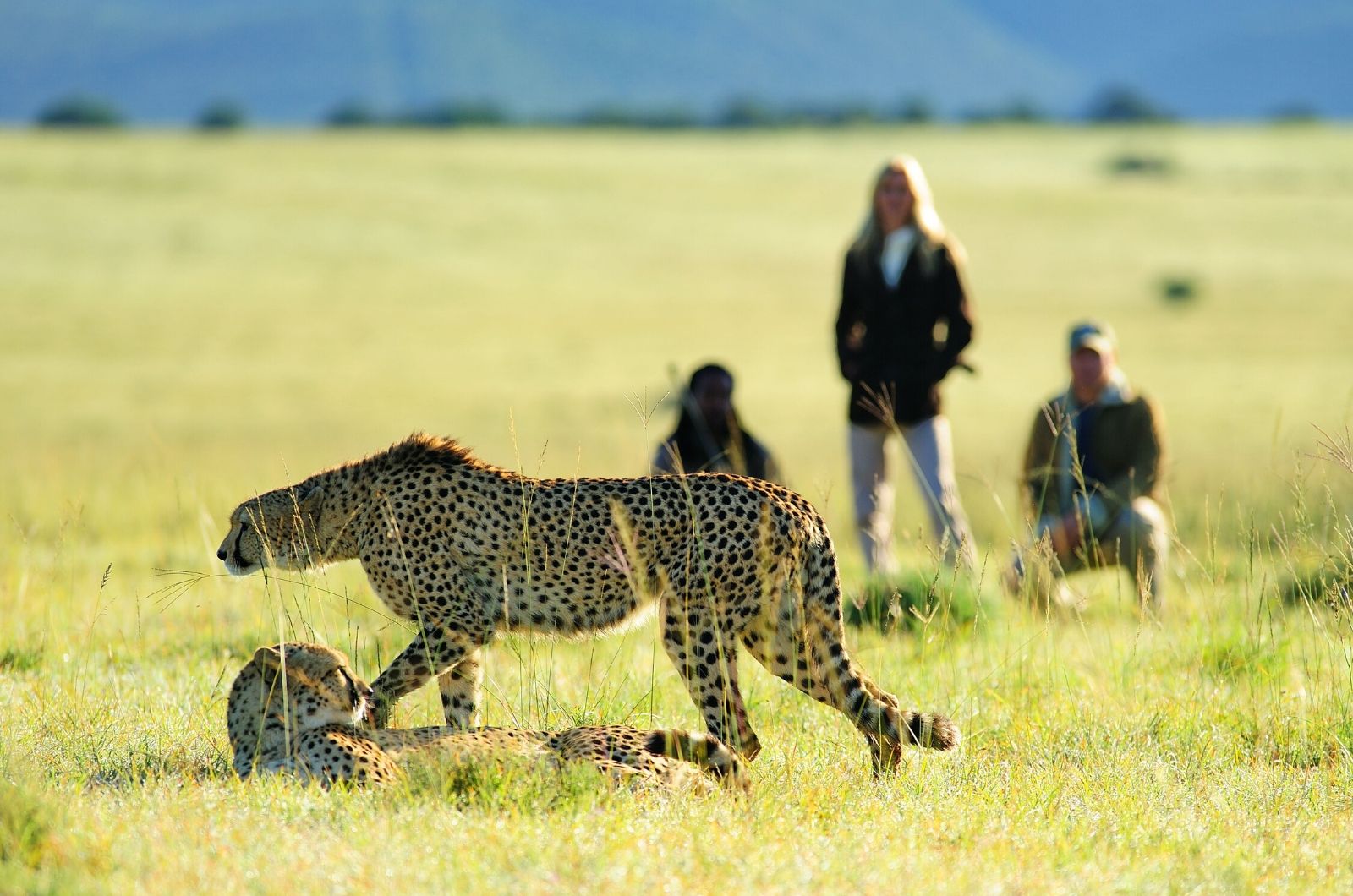 Walking Safaris in Africa | Sun Safaris Travel Blog