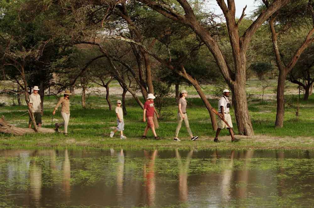Walking Safaris in Africa | Sun Safaris Travel Blog