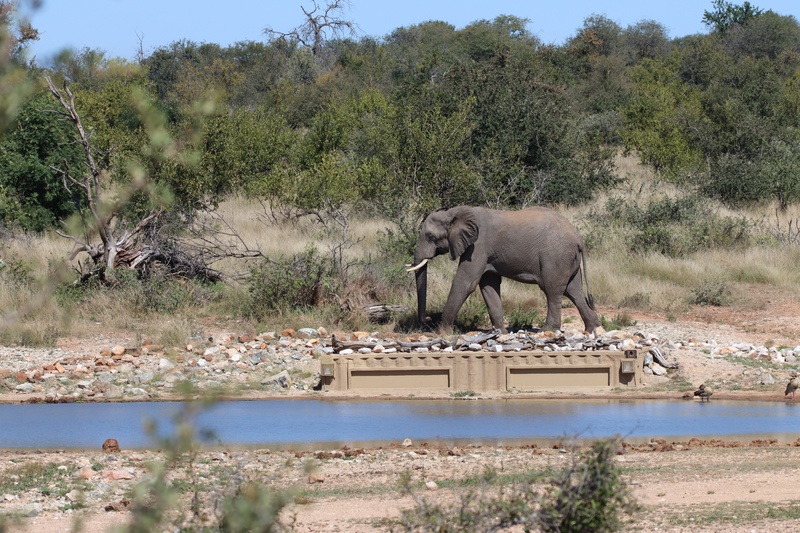 Best Safari Photographic Hides in Africa | Wildlife Photography