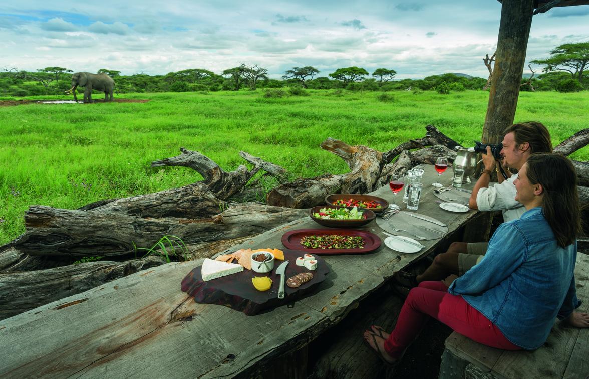 Best Safari Photographic Hides in Africa | Wildlife Photography