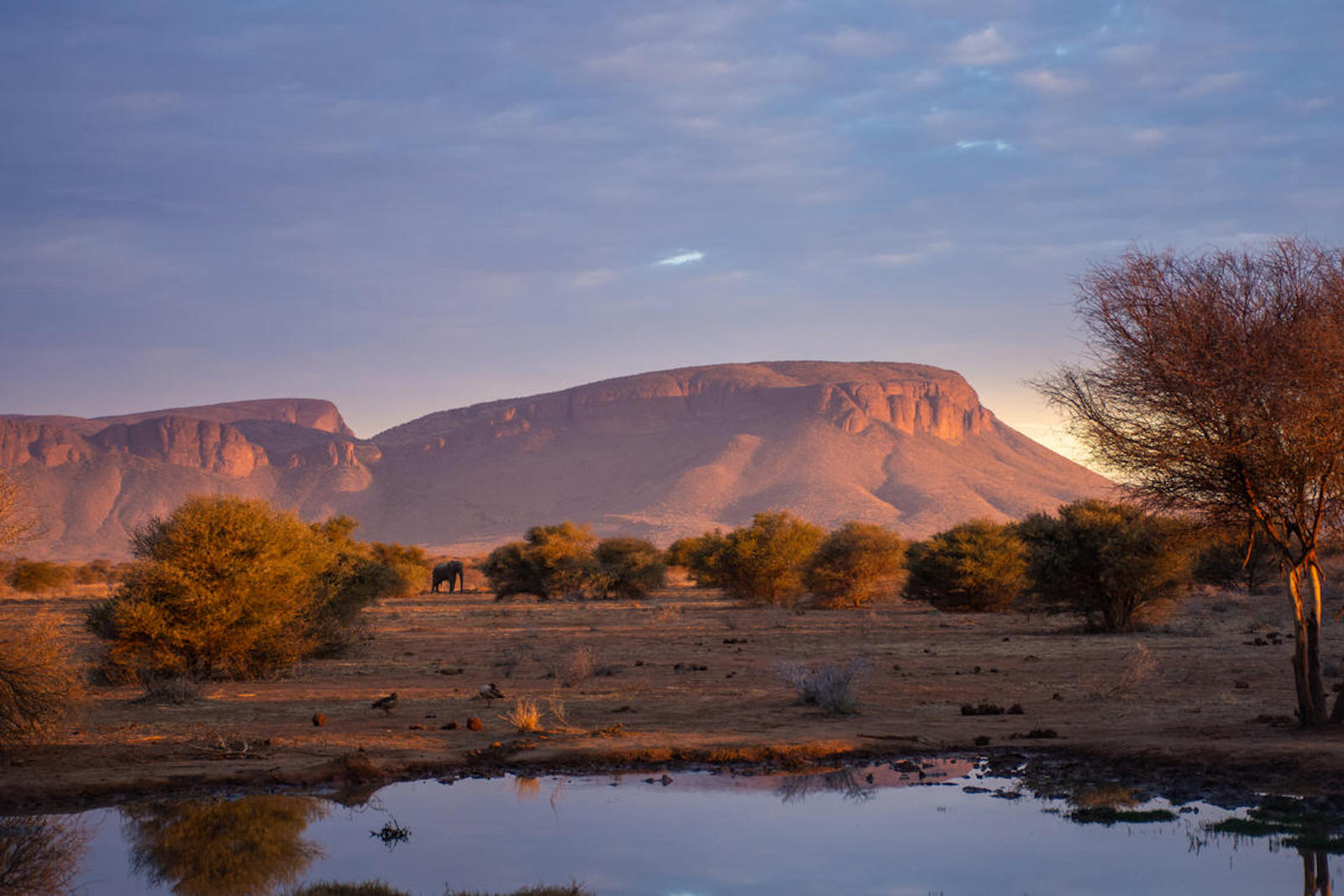Immerse yourself in Marataba's sustainable safari model | Sun Safaris ...