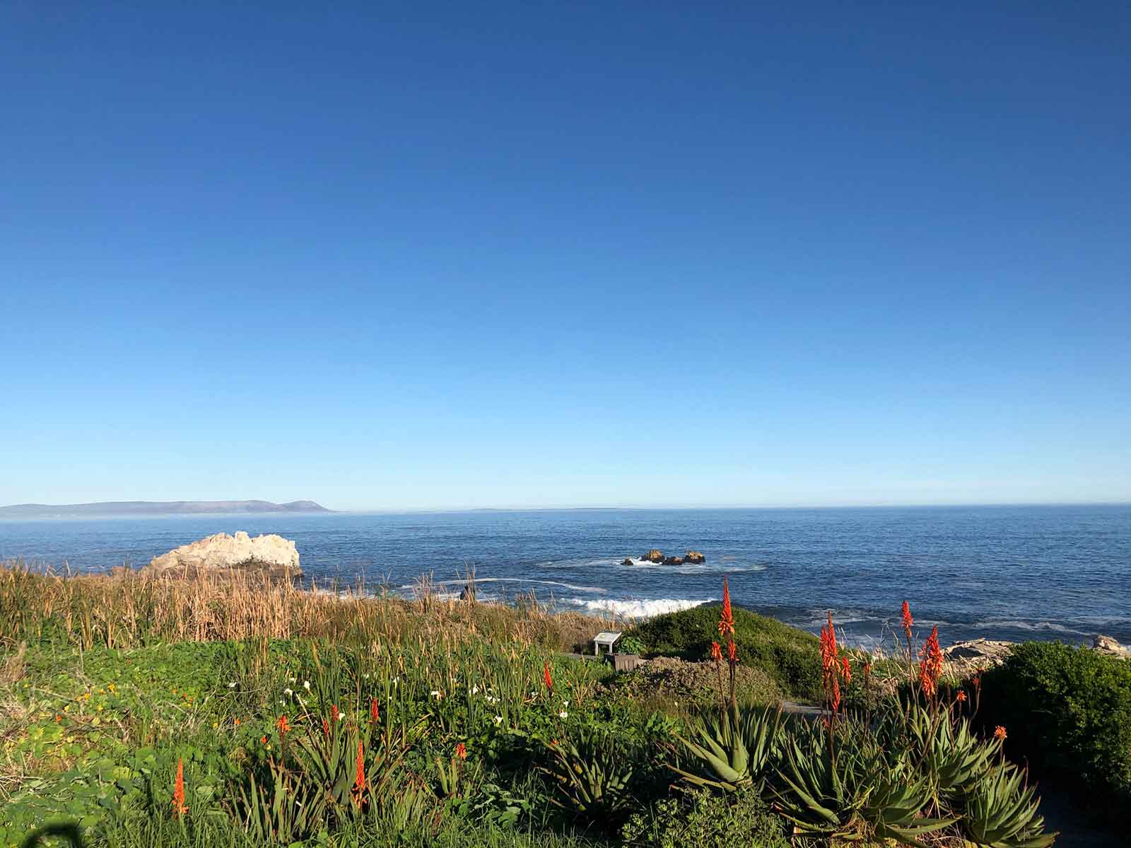 Whale Watching Activities in Hermanus | Walker Bay