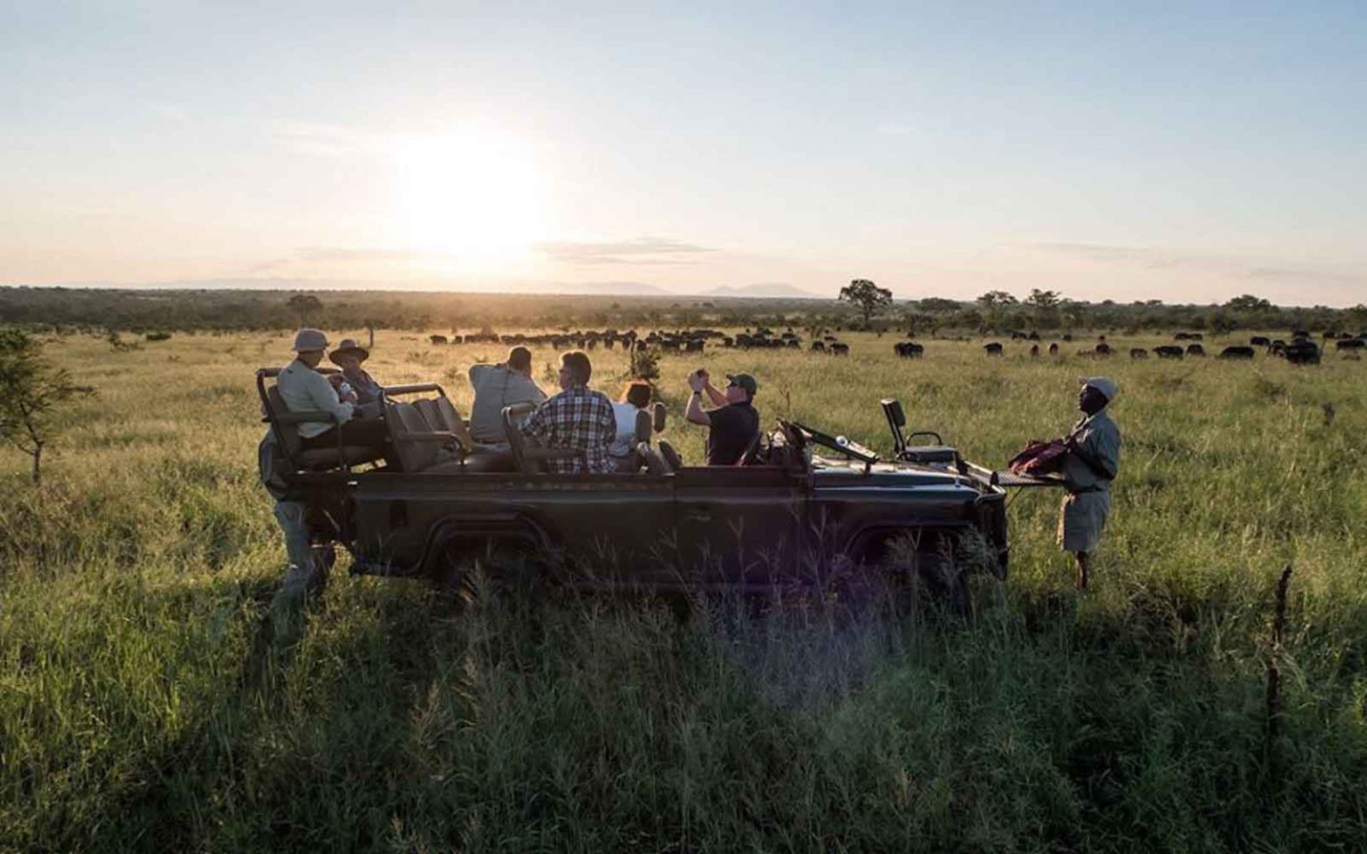 Client Feedback: Kruger Safari | Sun Safaris Travel Blog