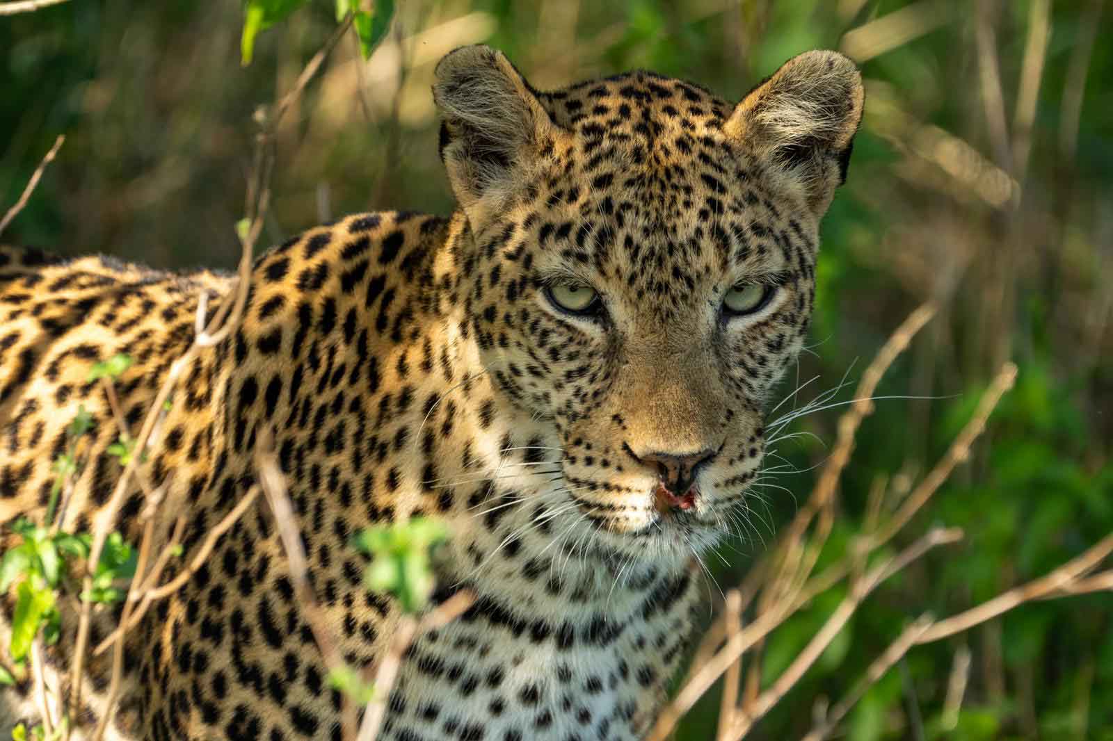 Sun Safaris Travel Blog