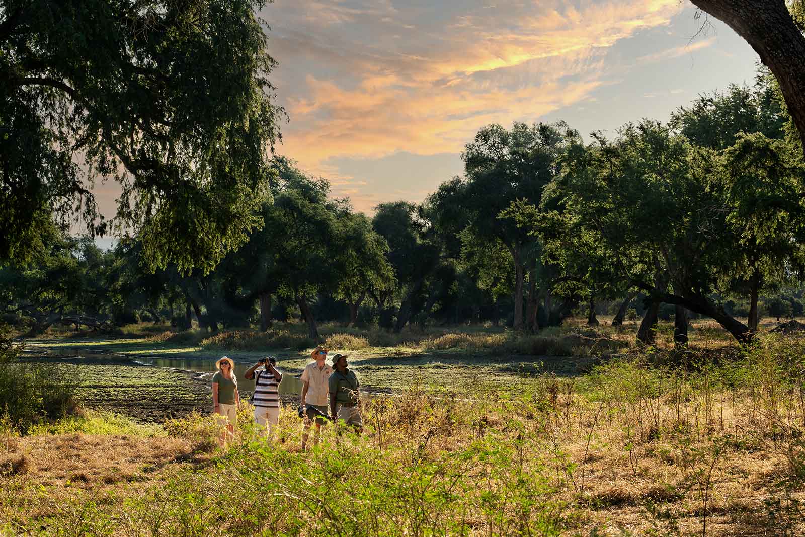 Client Feedback: A Zimbabwe Adventure | Sun Safaris Travel Blog